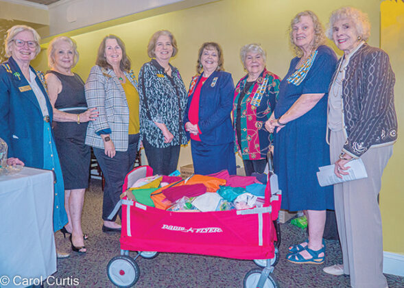 Local DAR members celebrate organization's Day of Service - Florida ...