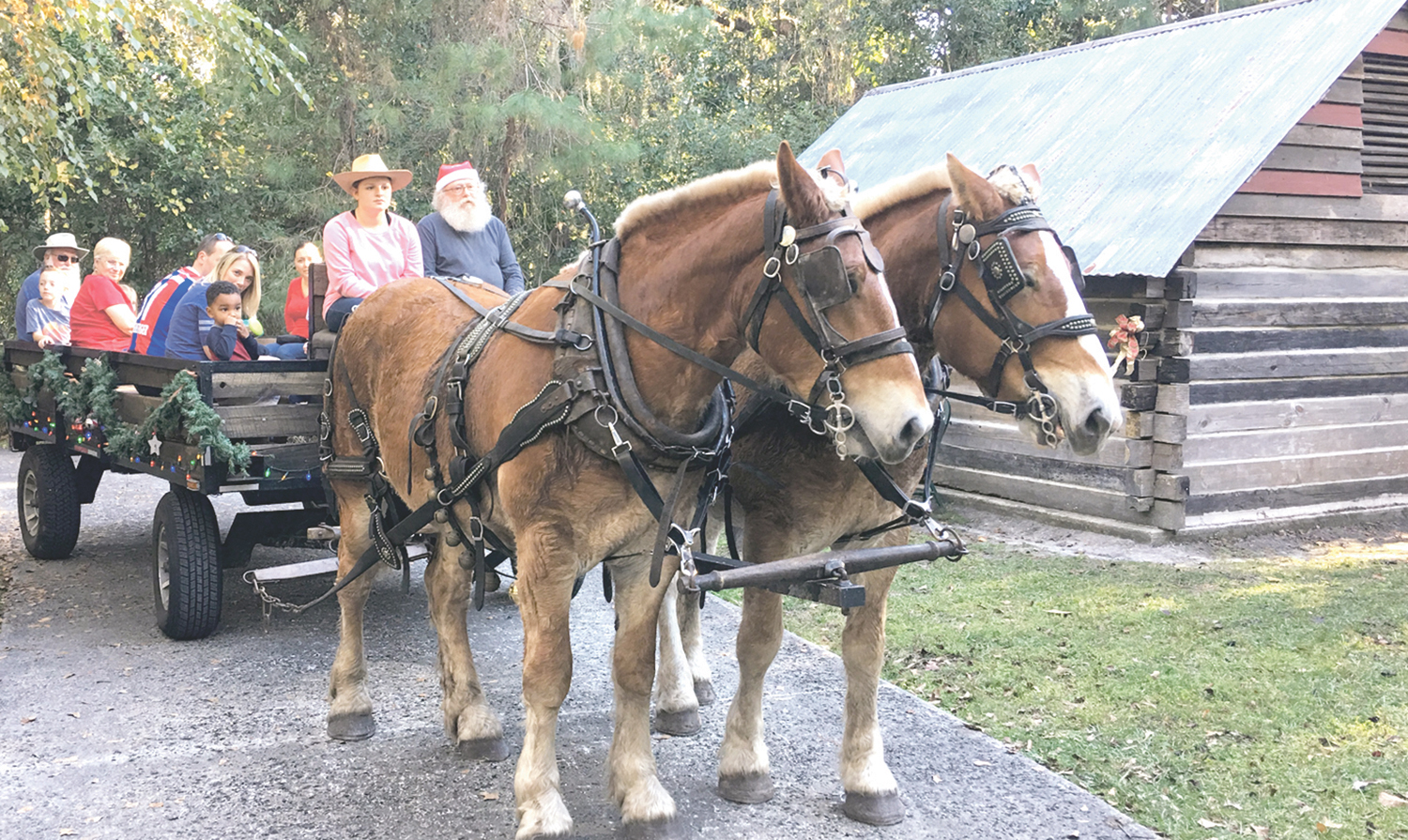 Mandarin Museum continues a 22-year tradition with annual Winter ...